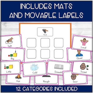 Printable Sorting by Attributes Activity, Describing Words, Preschool ...
