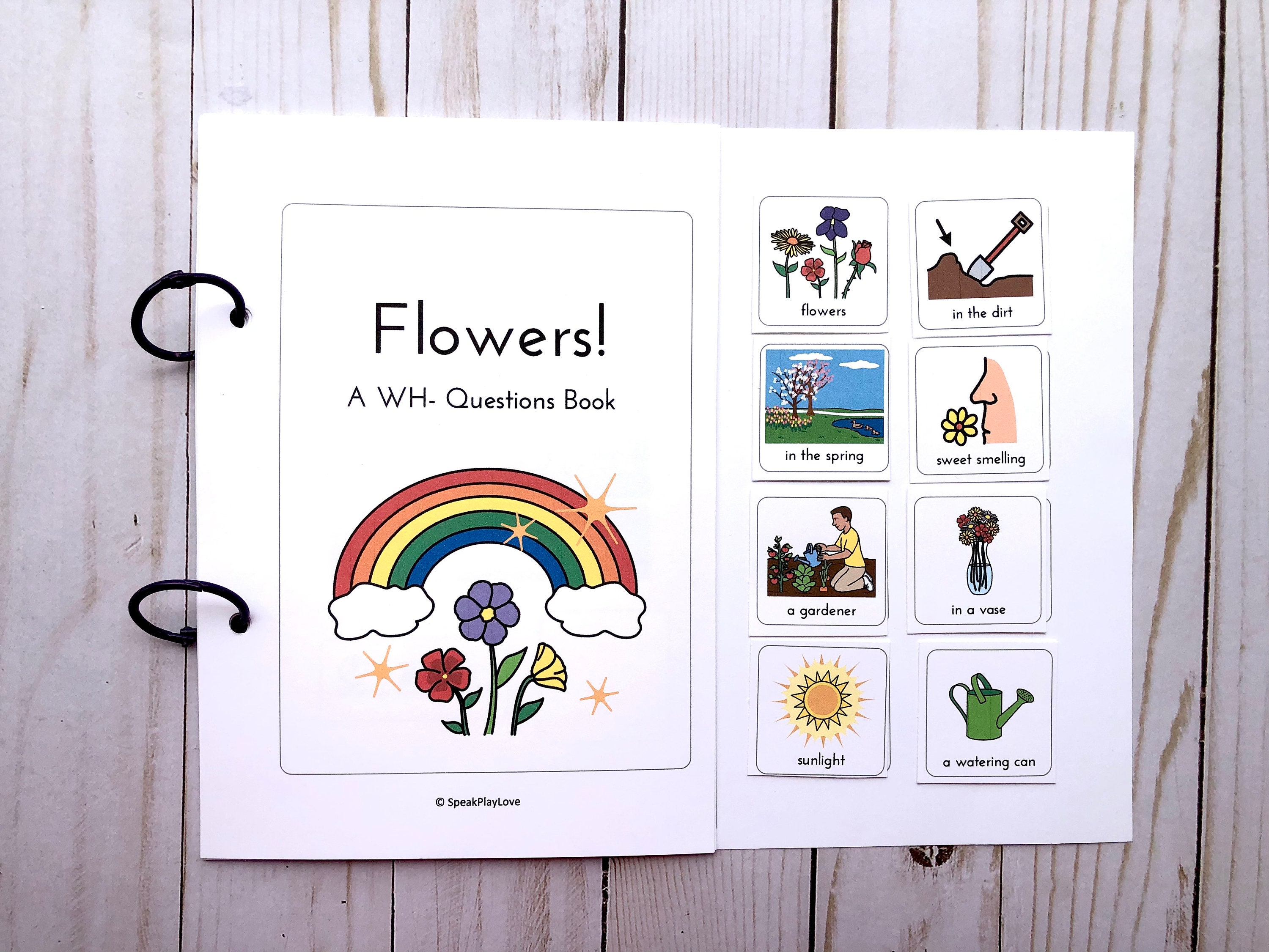 Printable Spring Interactive Books, Wh Questions for Speech Therapy ...