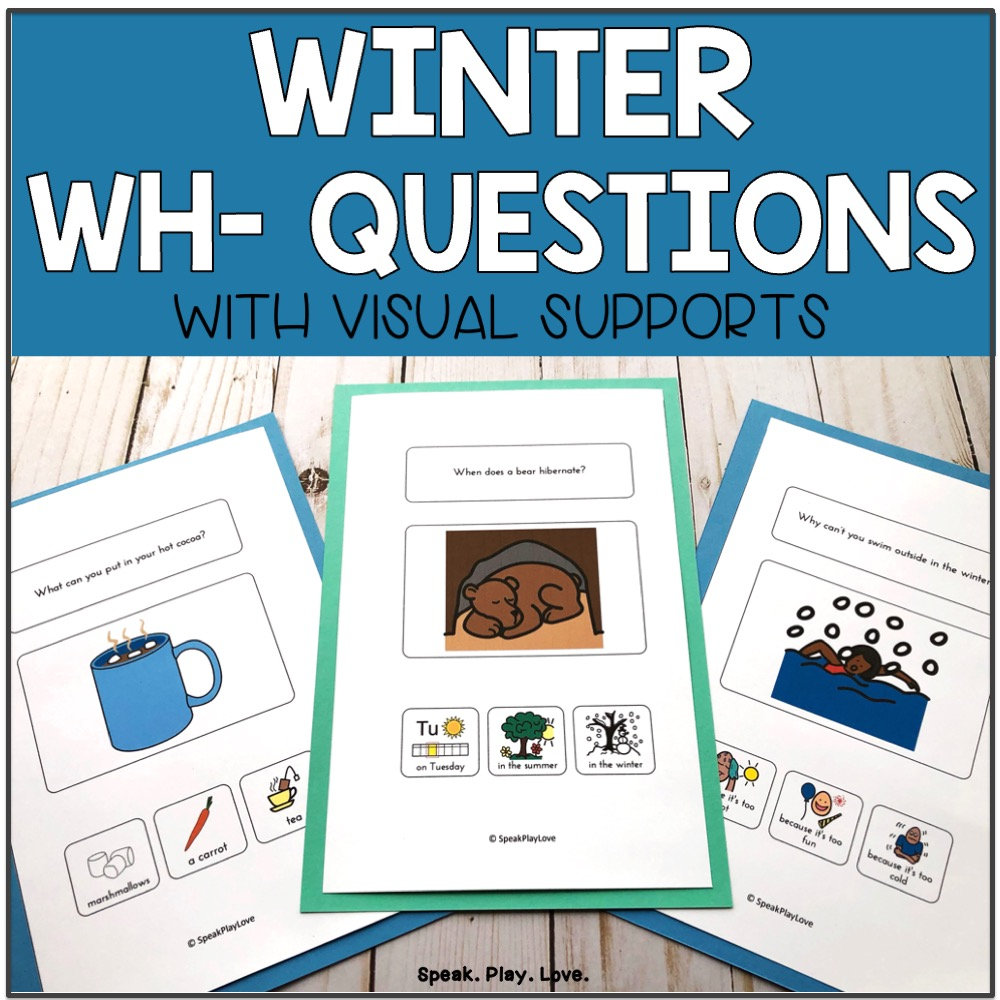 Winter Autism Activity: Printable WH Questions Task Cards, Speech ...