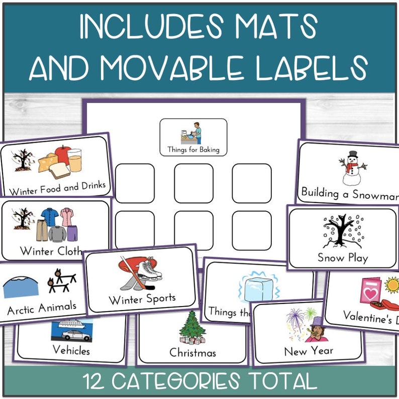 Winter Category Sorting Activity: Speech Therapy, Special Education ...