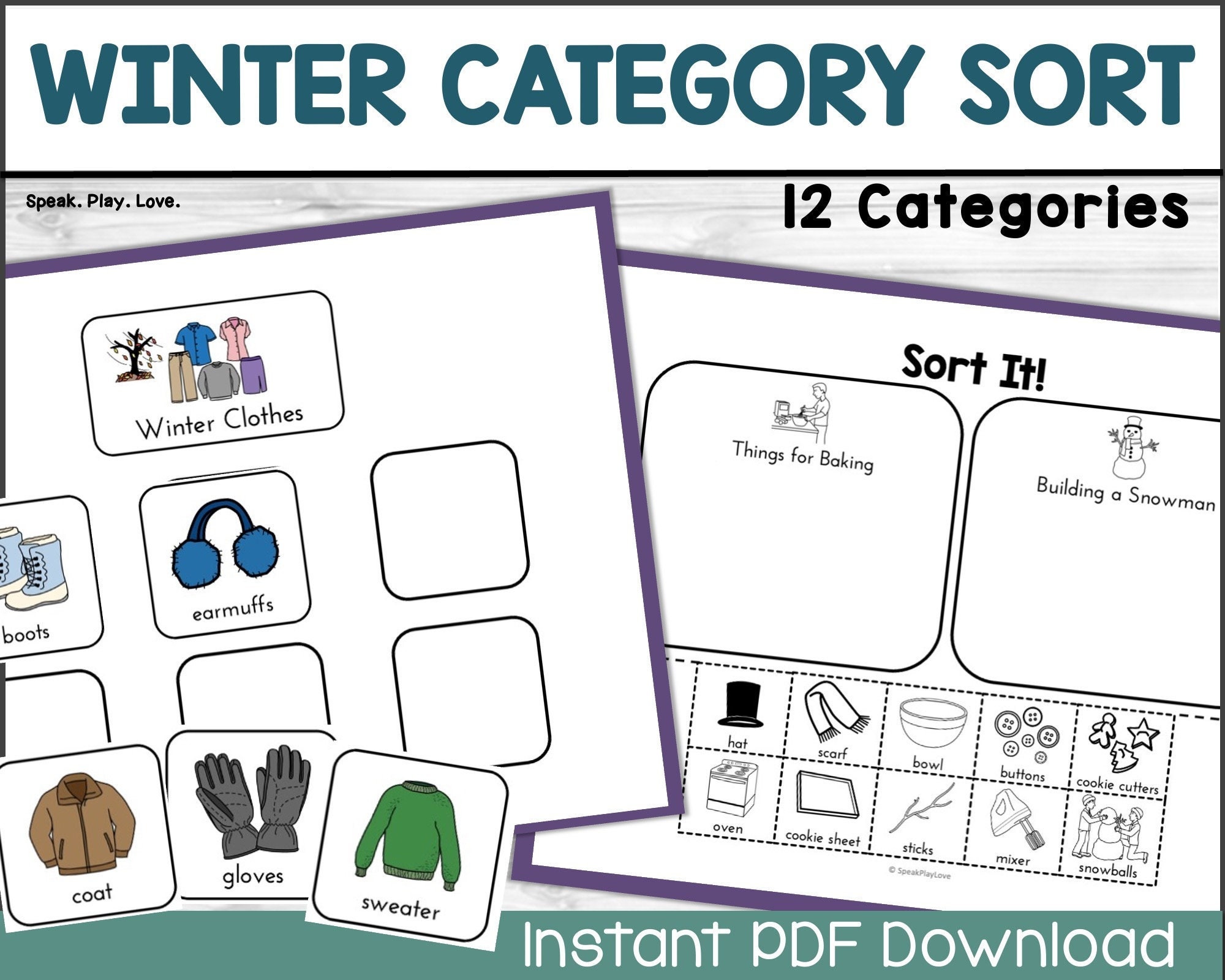 Winter Category Sorting Activity: Speech Therapy, Special Education ...