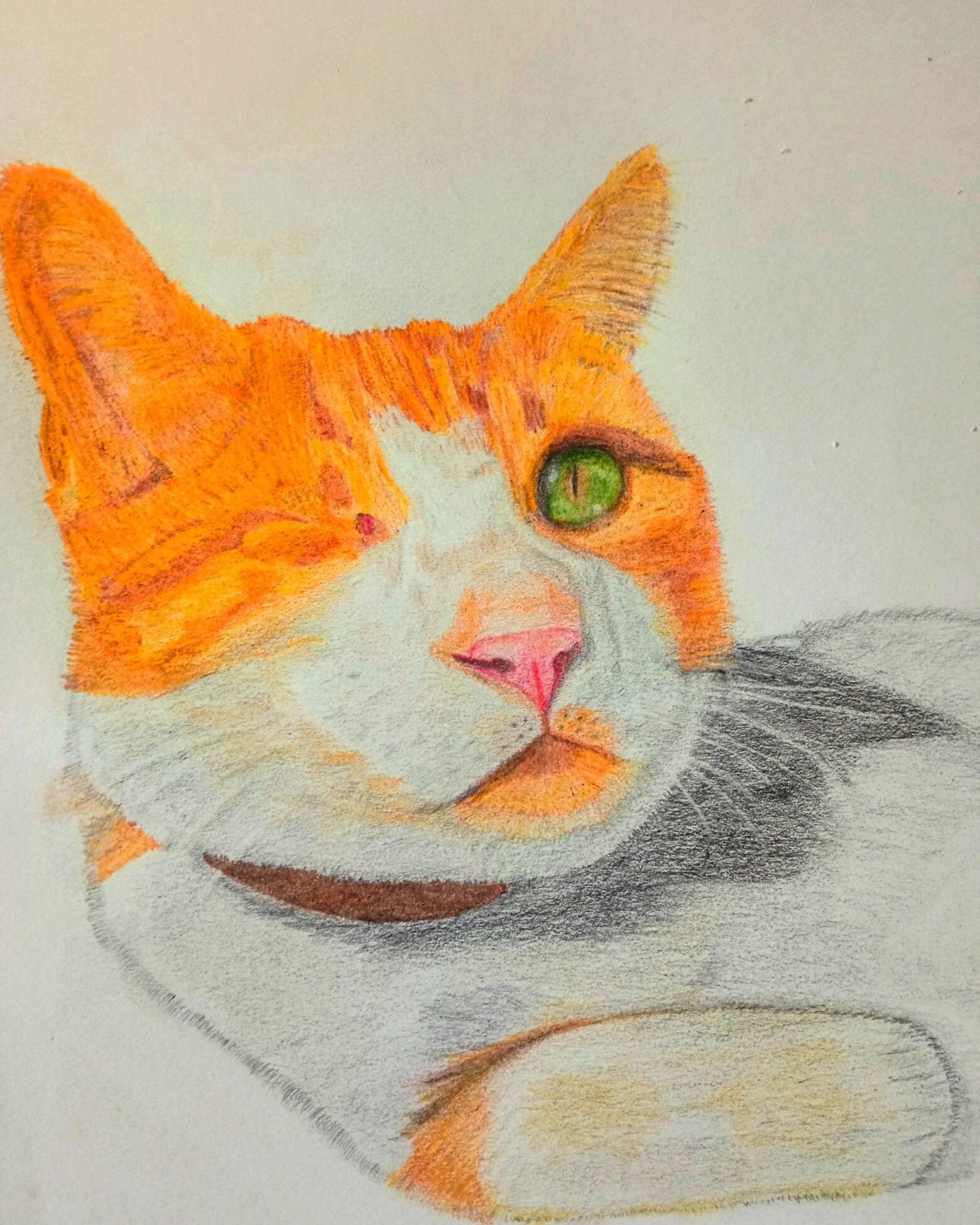 Custom Colored Pencil Drawing - Etsy