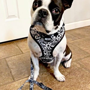 Dog Harness | Tattoo Dog Harness | Neoprene Dog Harness | Monochrome ...