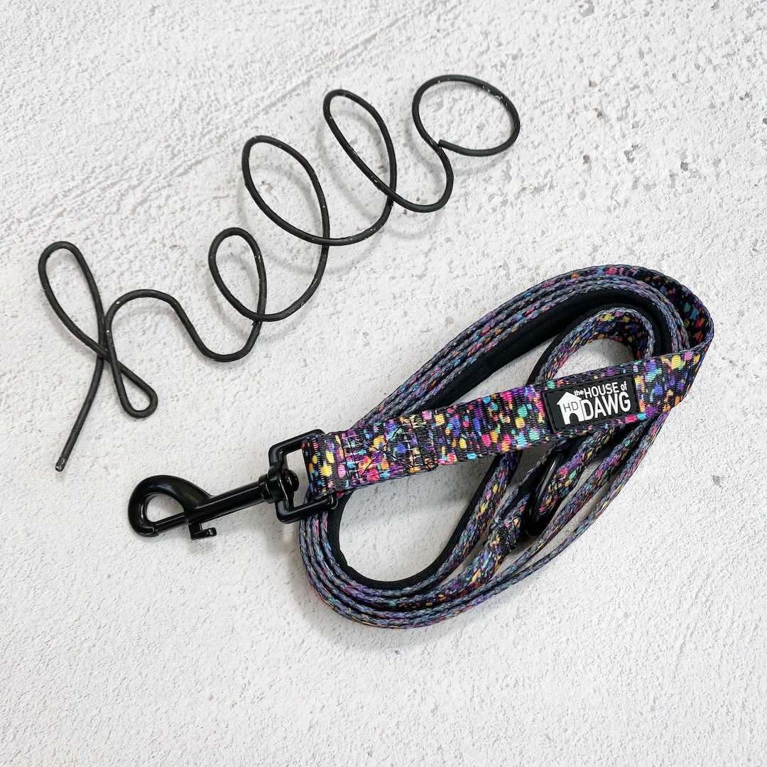 Dog Lead | Sanctuary Dog Lead | Rainbow Sprinkles Dog Lead | Sprinkles ...