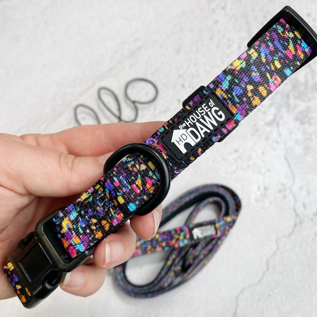 Dog Collar | Sanctuary Dog Collar | Bright Dog Collar | Rainbow ...
