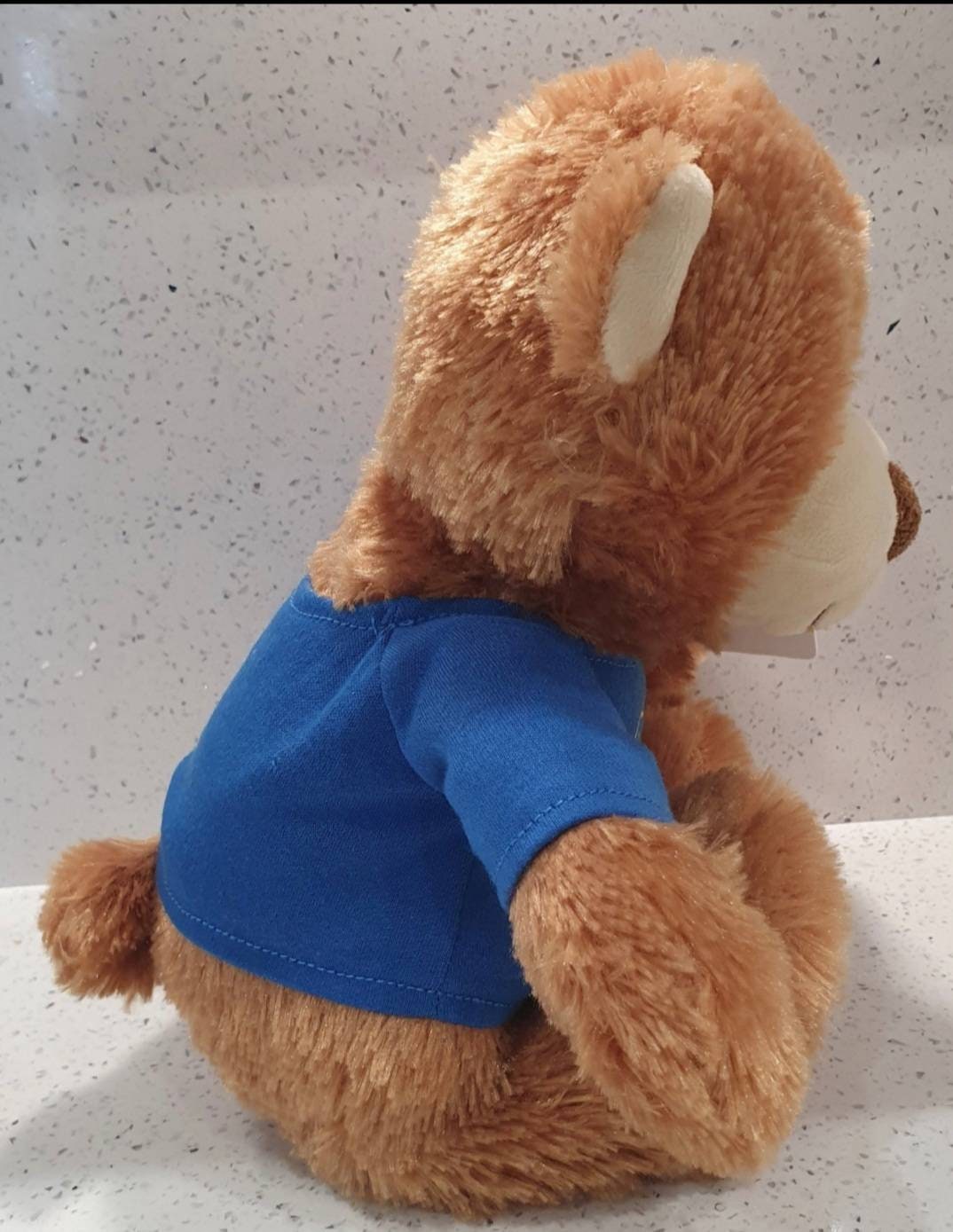 Everton Official Traditional Teddy Bear - Etsy