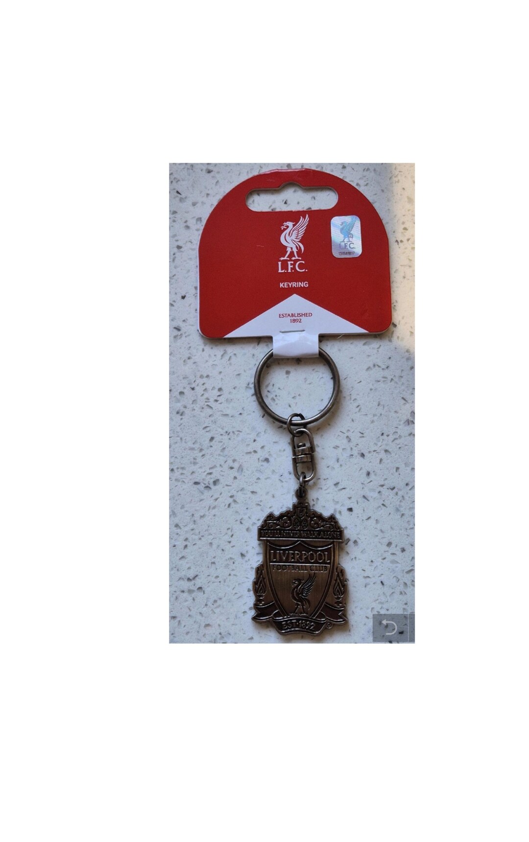 Liverpool Silver Crest Keyring - Etsy