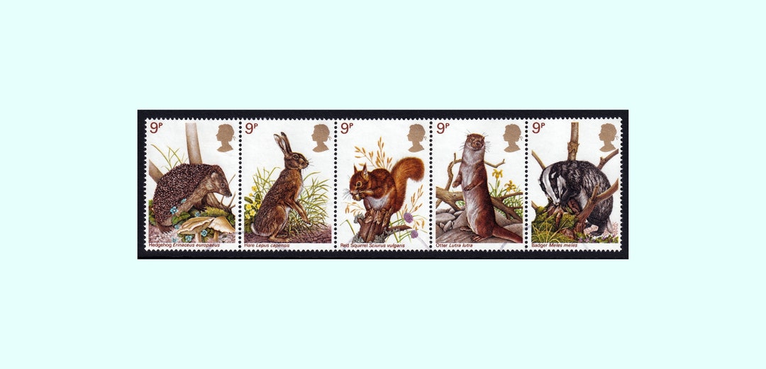 Hedgehog Hare Red Squirrel Otter Badger Native British Animals on Five ...
