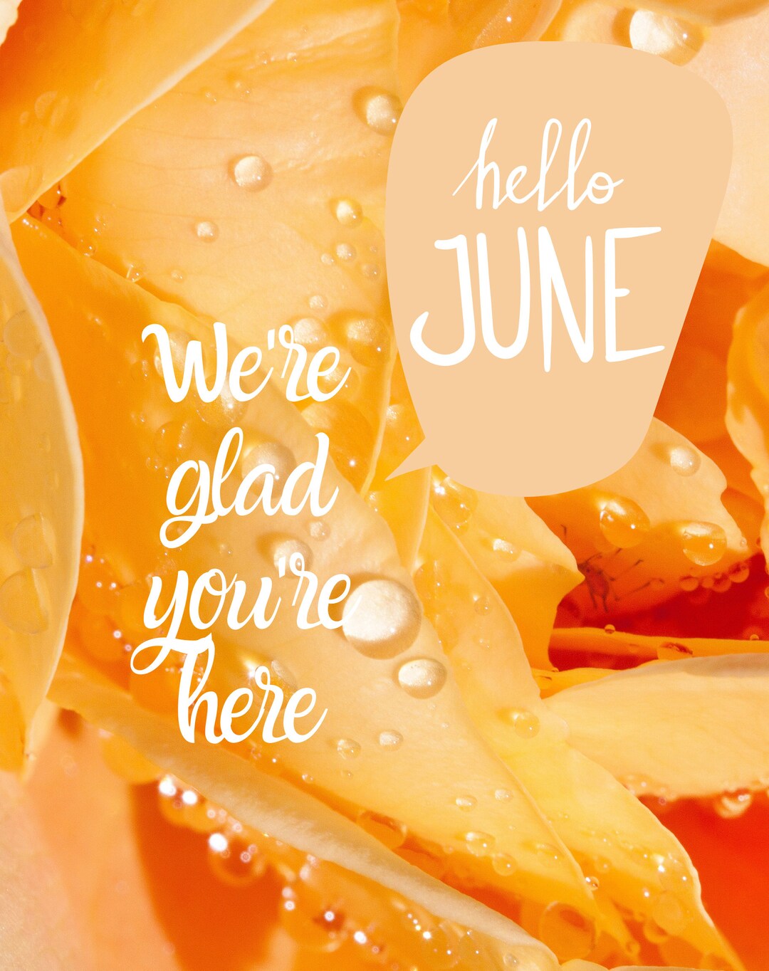Printable June Budget Workbook - Etsy