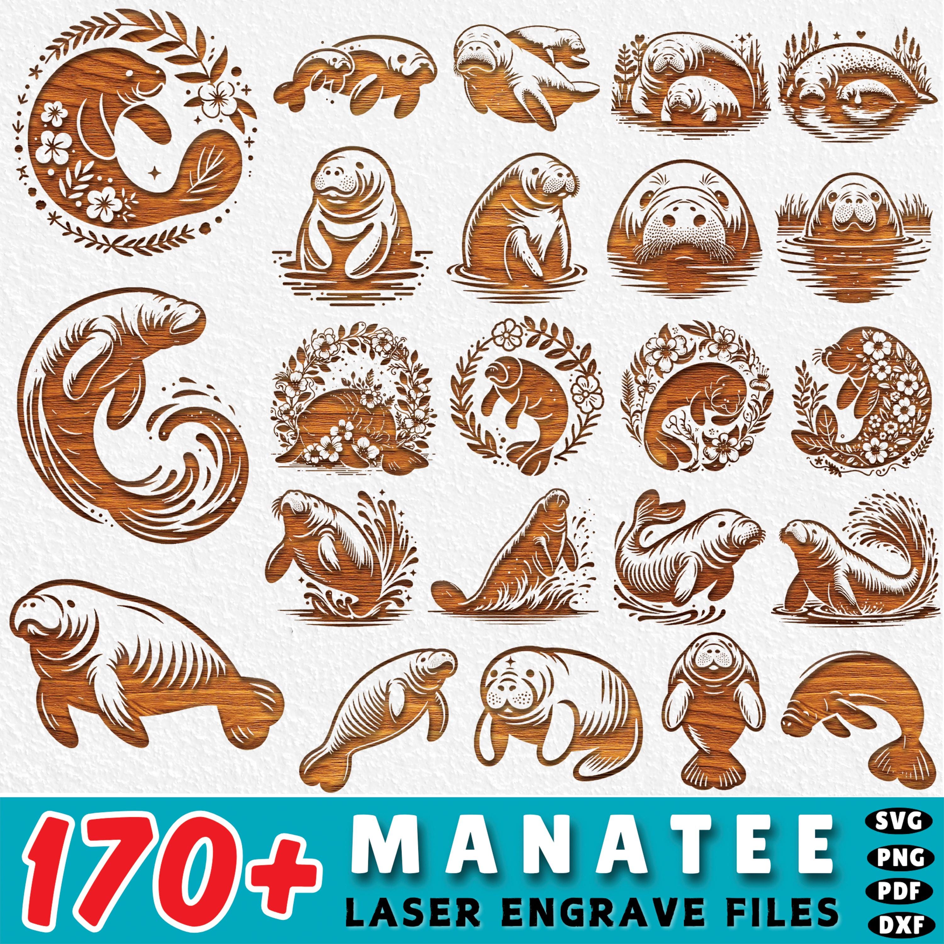 Manatee SVG Bundle: 170+ Sea Cow Vector Graphics, Laser Cut Files ...