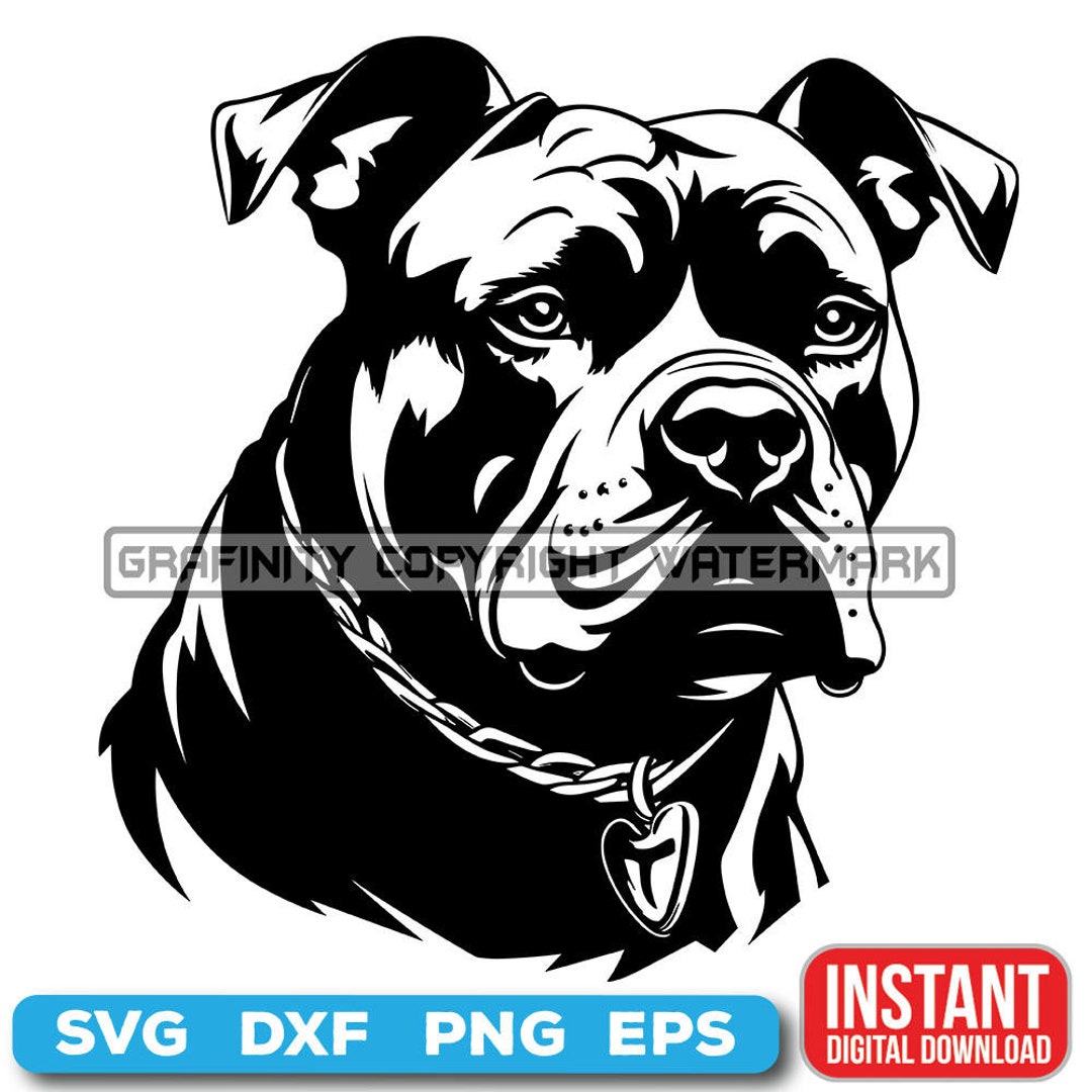 American Bully SVG - 10 American Bully Vector Art Cut Files - Instant ...