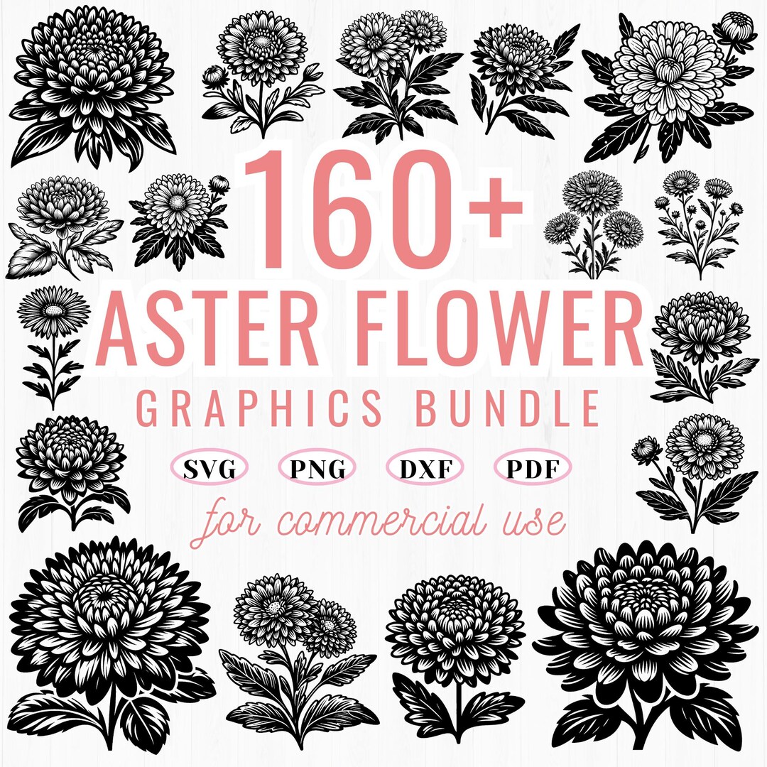 160+ Aster Flower SVG | DXF Bundle | Floral Clipart | Cricut Cut Files ...