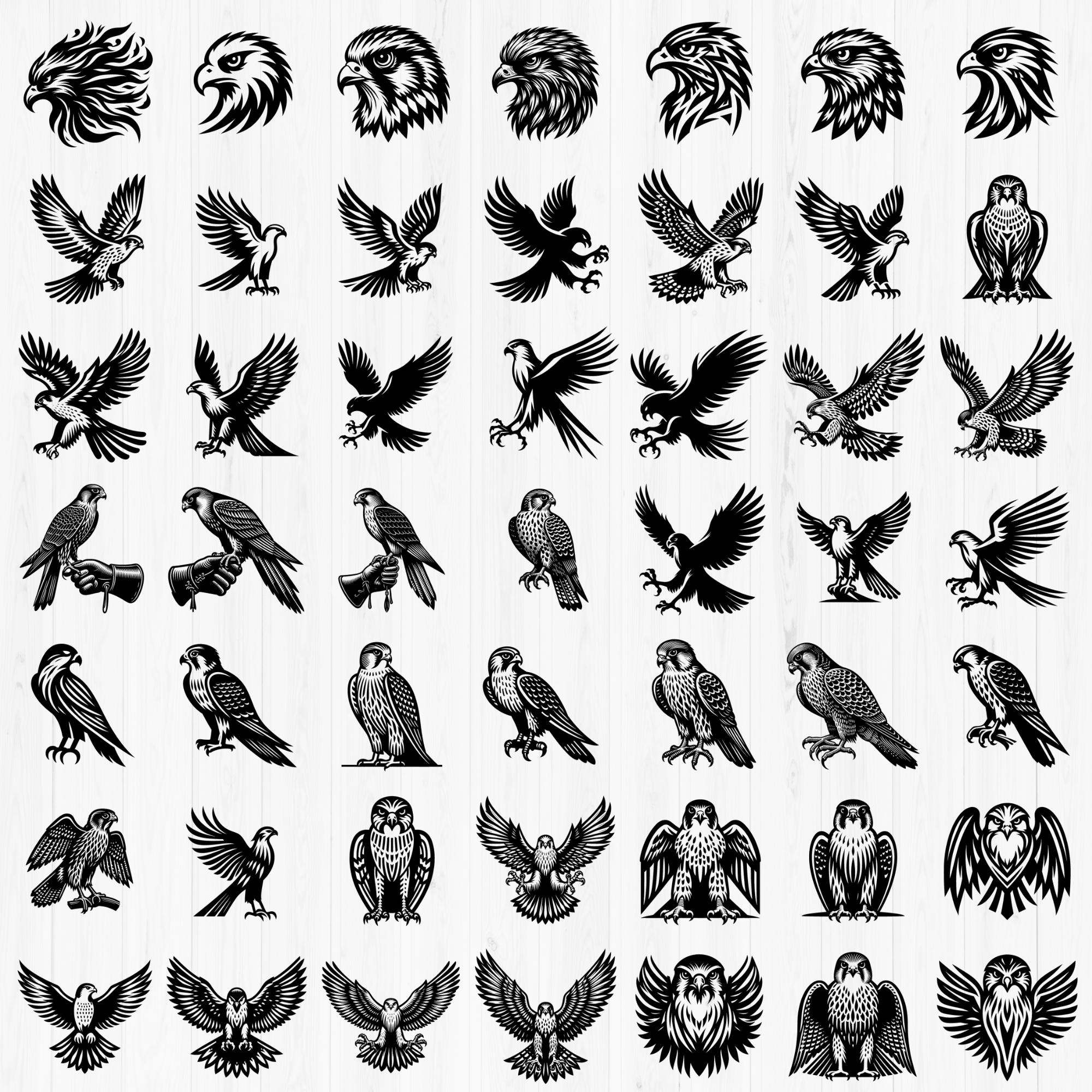 Falcon SVG Bundle: 180+ Bird of Prey Cut Files (commercial Use, Digital ...