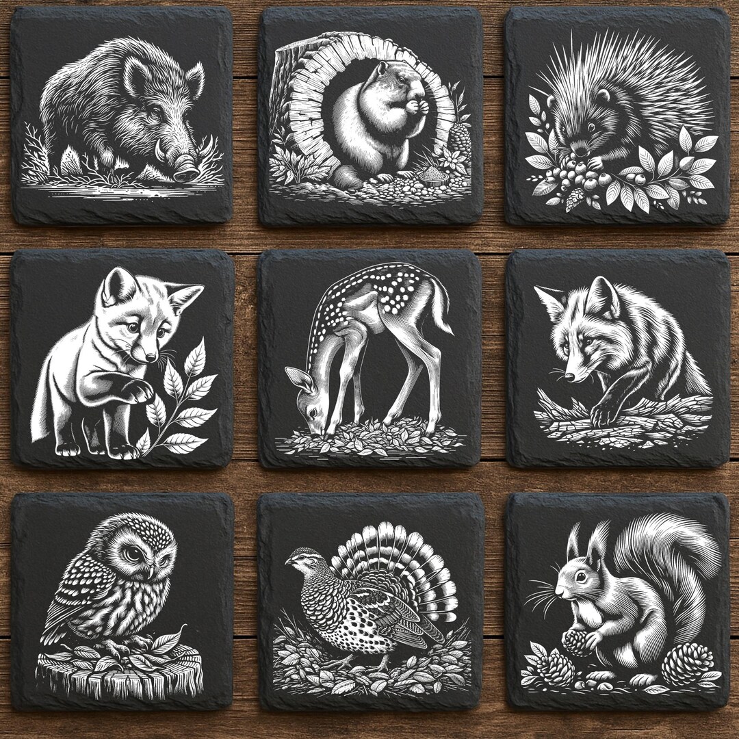 Woodland Animal Slate Coaster PNG Bundle: Engraving Files (digital ...