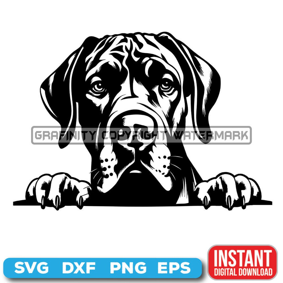 Great Dane SVG, Great Dane Peeking Artsy Vector Design, Digital ...