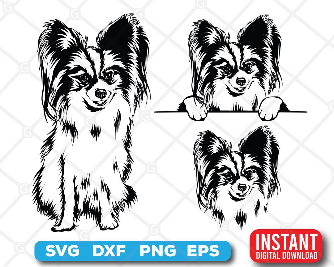 Papillon SVG - Papillon Dog SVG - Cute Papillon Dog Graphic Portrait ...