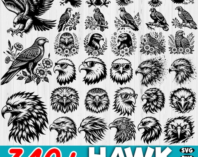 Hawk Fine Line Portrait Clip Art, Printable Bird Coloring Page, Stencil ...