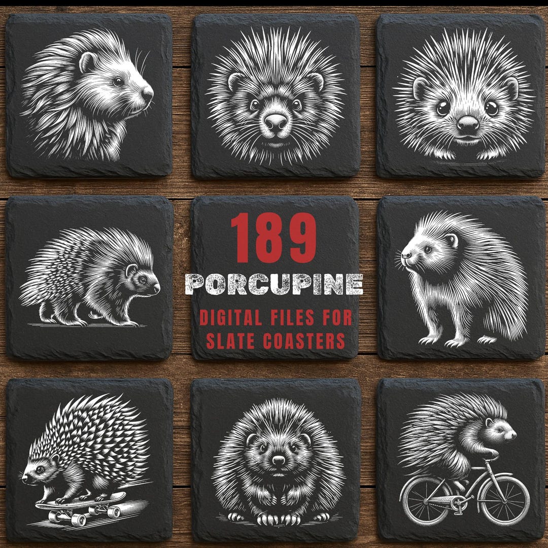 189 Porcupine Slate Engraving Design: Woodland Animal Line Art Digital ...