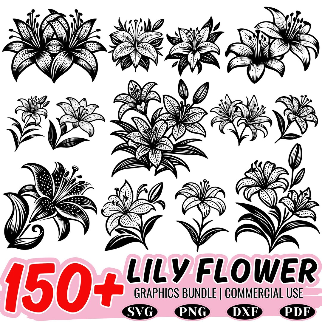 150+ Lily Flower SVG | DXF Bundle | Floral Clipart | Cricut Cut Files ...