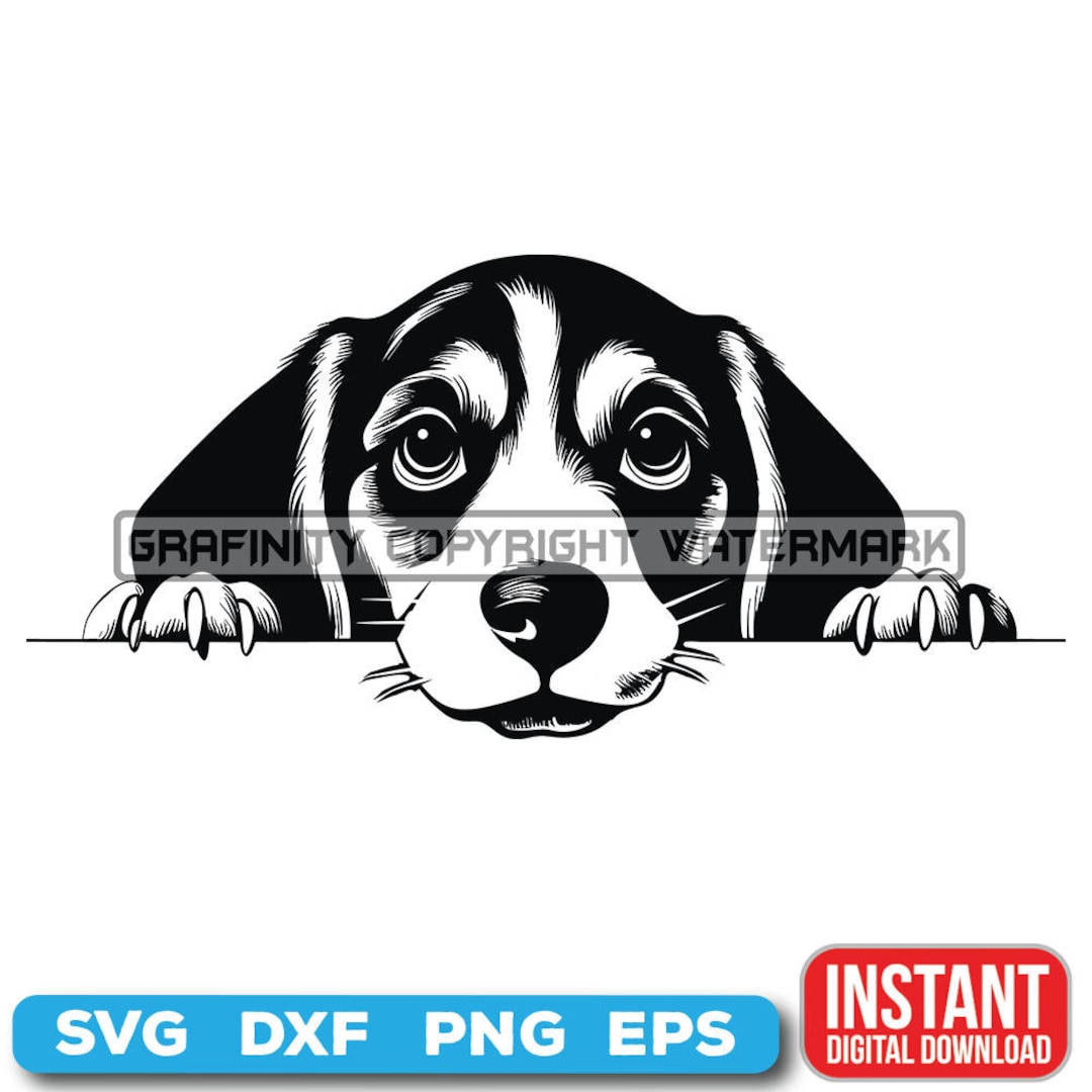 Beagle SVG - Beagle Vector SVG - 09 Beagle Dog Peeking Cute, Pet Lover ...