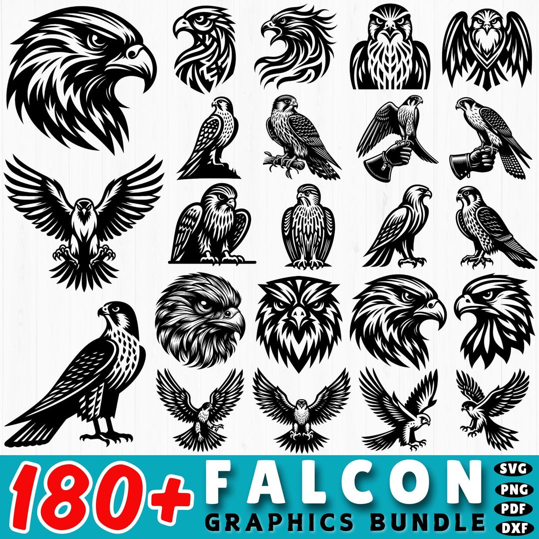 Falcon SVG Bundle: 180+ Bird of Prey Cut Files (commercial Use, Digital ...