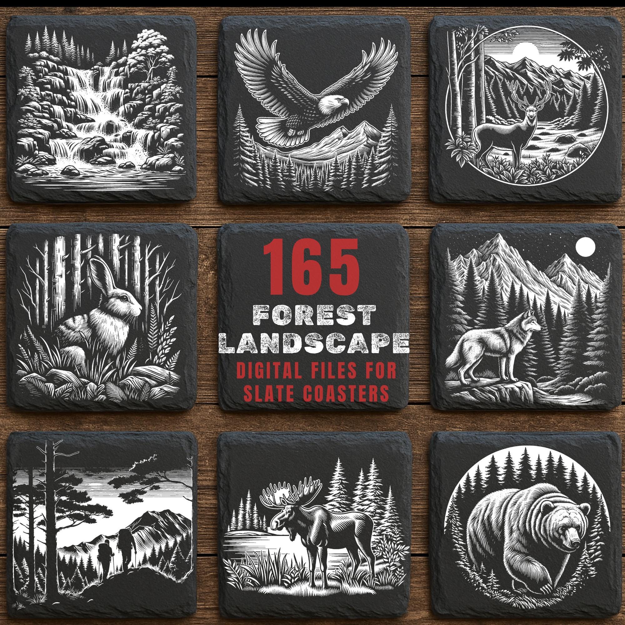 165 Forest Landscape Slate Engraving Files: Nature PNG Bundle for ...