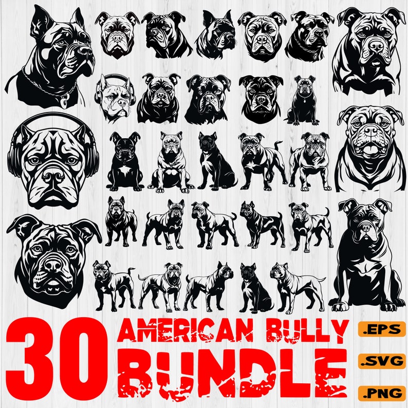 American Bully SVG American Bully Bundle 30 artículos archivos de corte ...