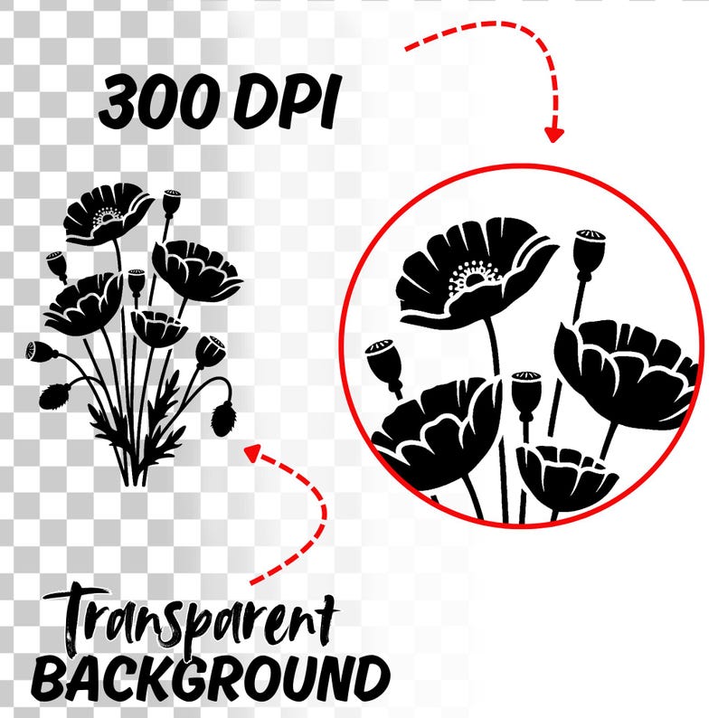 Poppy Flower Line Art SVG Bundle: Botanical Cut Files (digital Download ...