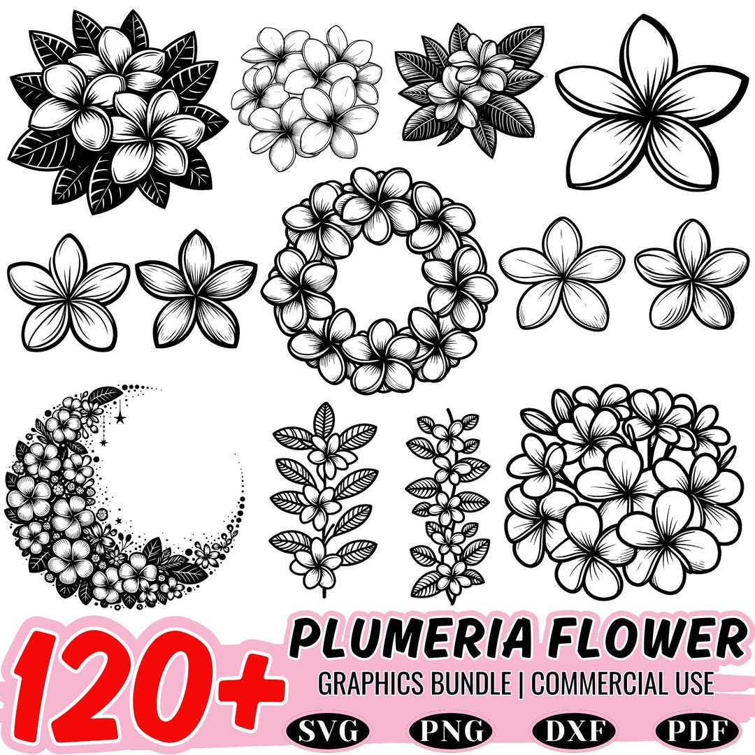 Plumeria Flower SVG Bundle: Floral Clipart, Cricut Cut Files ...
