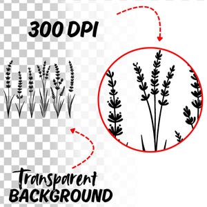 Laser Engraving Files 170+ Lavender Flower Dxf Bundle | Floral Laser ...