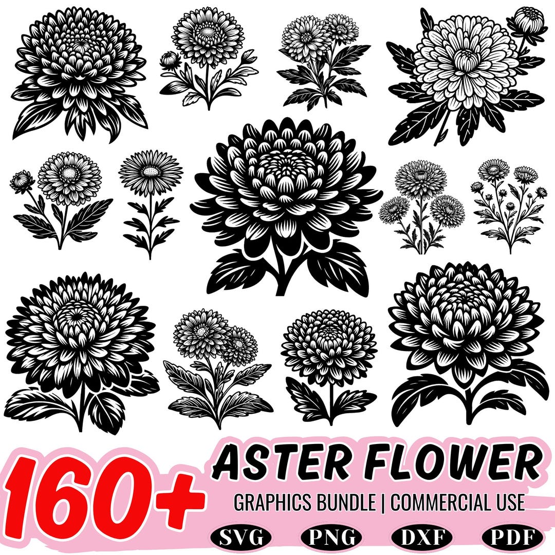 160+ Aster Flower SVG | DXF Bundle | Floral Clipart | Cricut Cut Files ...