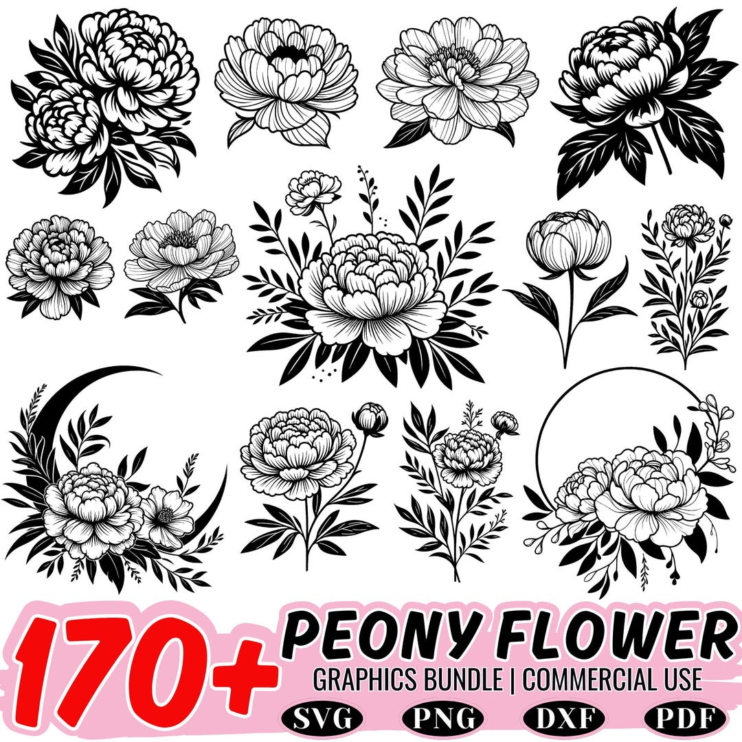 170+ Peony Flower Svg Bundle | Floral Line Art Cut Files | Cricut Dxf ...