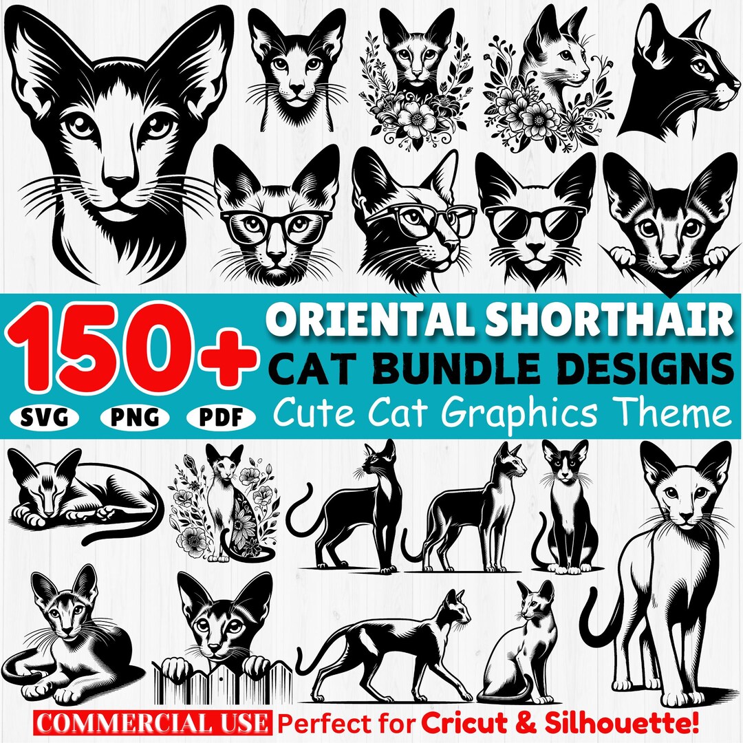 150+ Oriental Shorthair Cat SVG Bundle | Cute Cat Graphics for Cricut ...