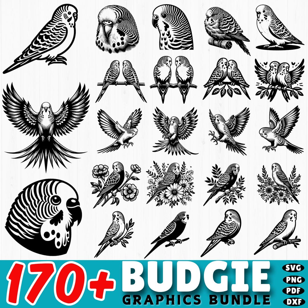 Budgie SVG Bundle: 170+ Parakeet Bird Cut Files (digital Download) - Etsy
