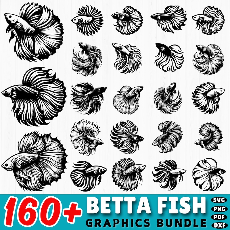 Betta Fish Drawing - Etsy UK