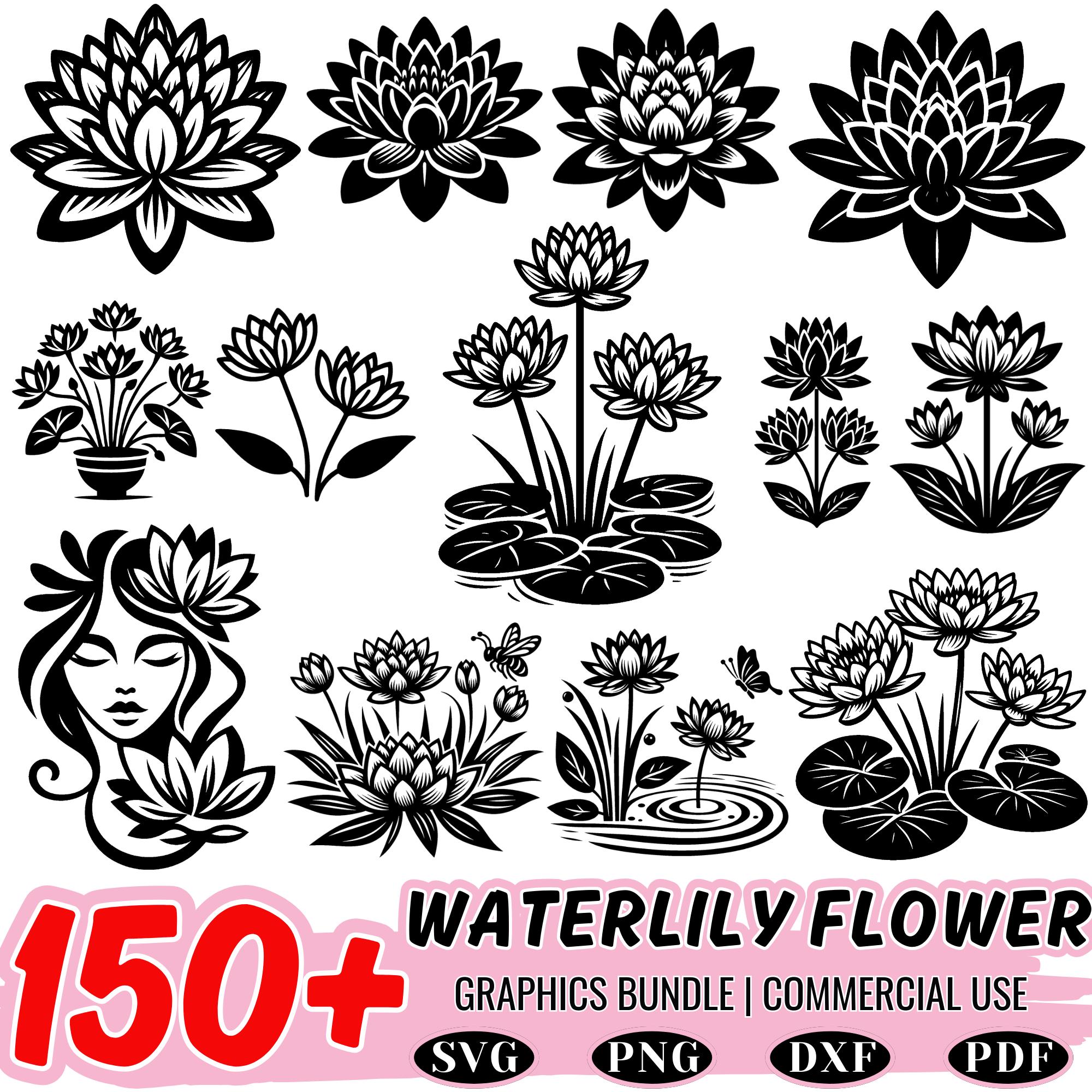 Waterlily Flower SVG Bundle: Floral Clipart, Cricut Cut Files ...