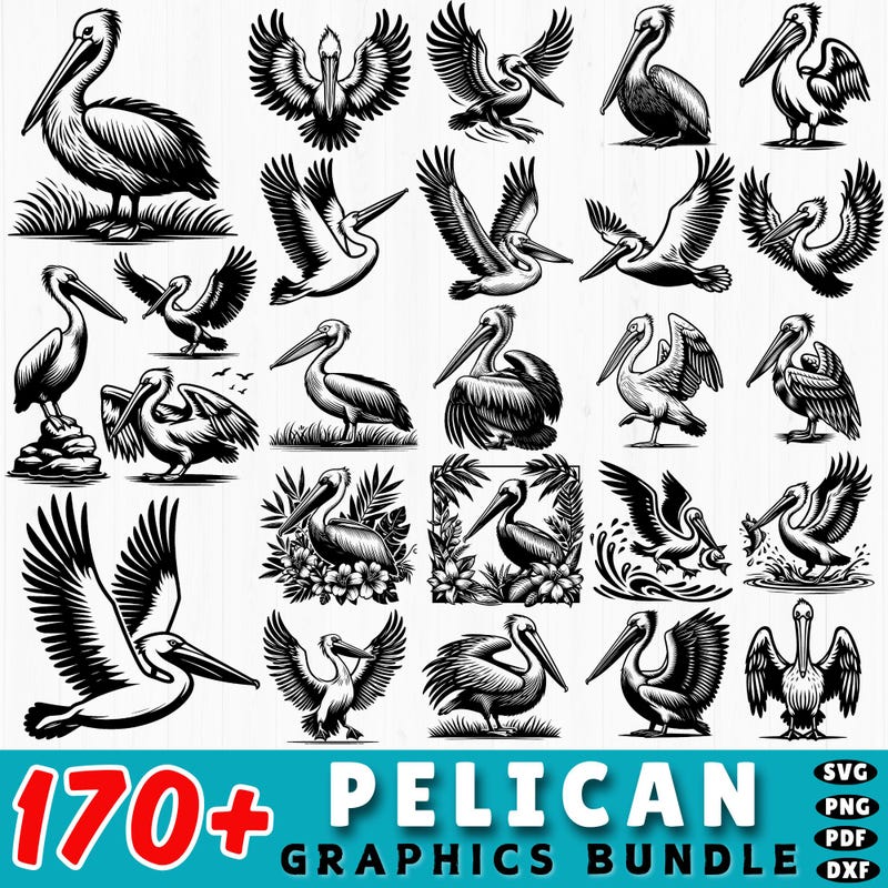 Large Pelican Drawing - Etsy
