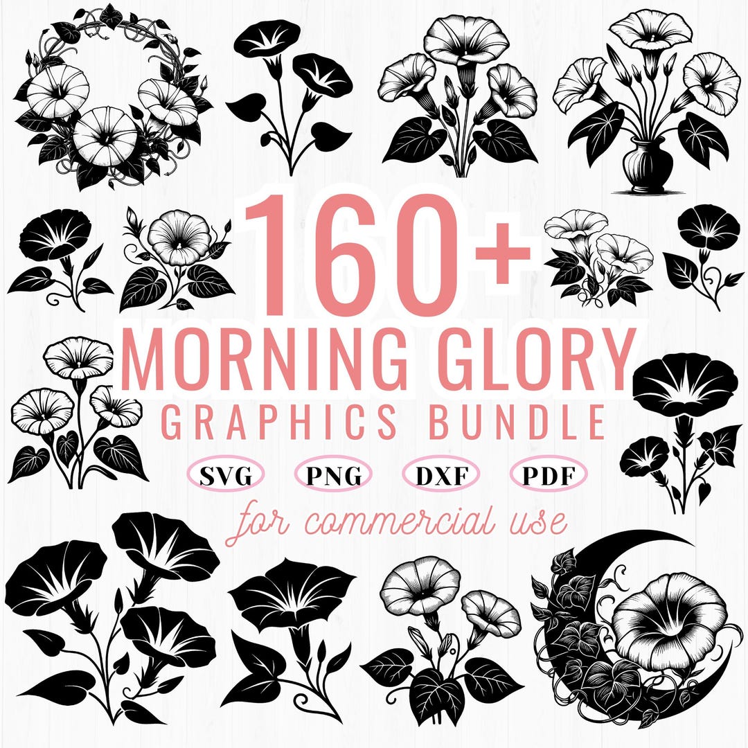 Morning Glory Flower SVG Bundle: 150+ Floral Clipart, Cricut Cut Files ...