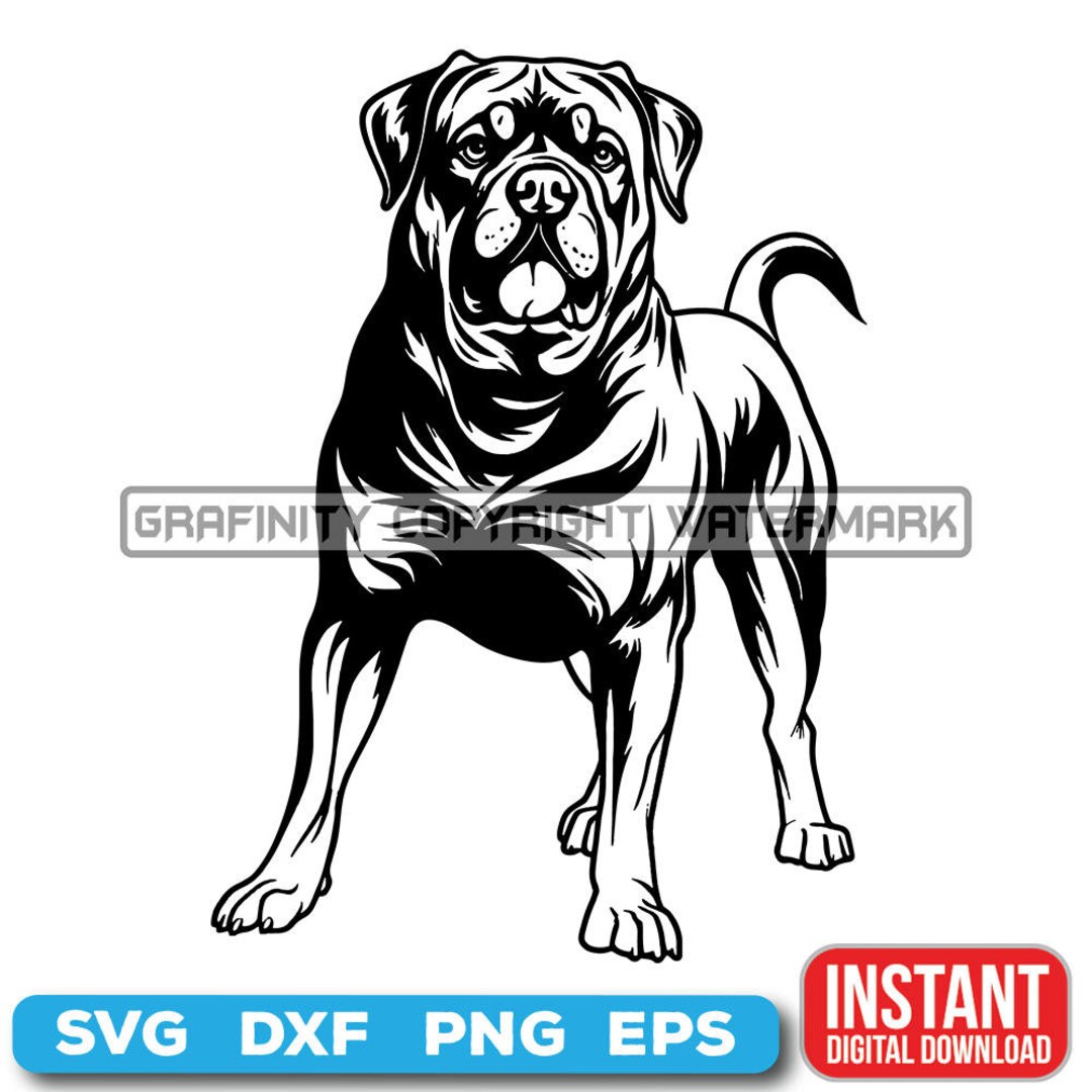 Rottweiler SVG Dog SVG Files for Cricut 03 Rottweiler - Etsy