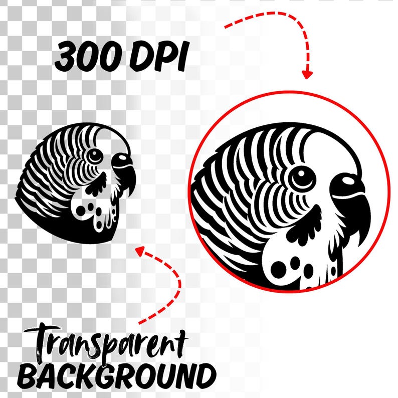 Budgie SVG Bundle: 170+ Parakeet Bird Cut Files (digital Download) - Etsy