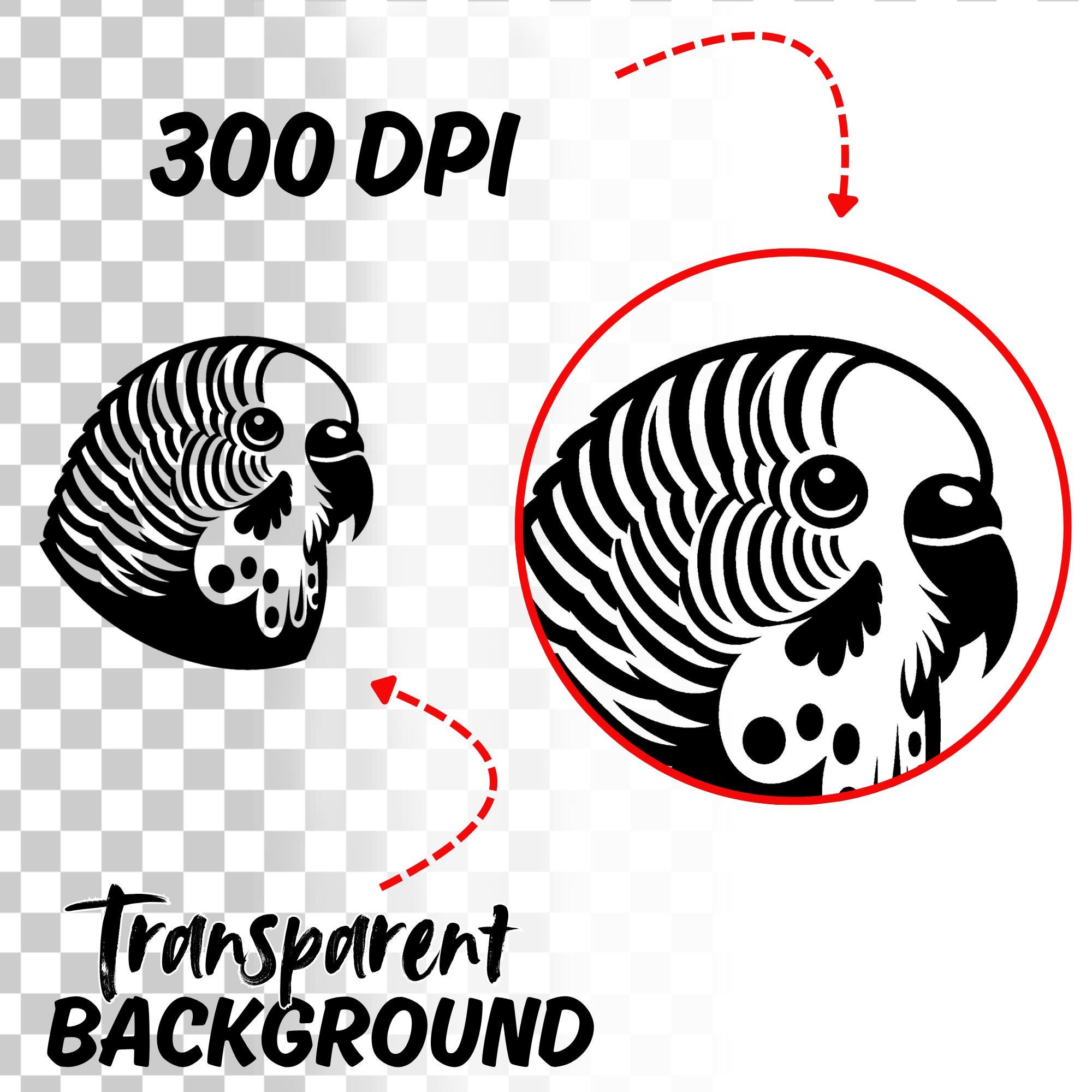 Budgie SVG Bundle: 170+ Parakeet Bird Cut Files (digital Download) - Etsy