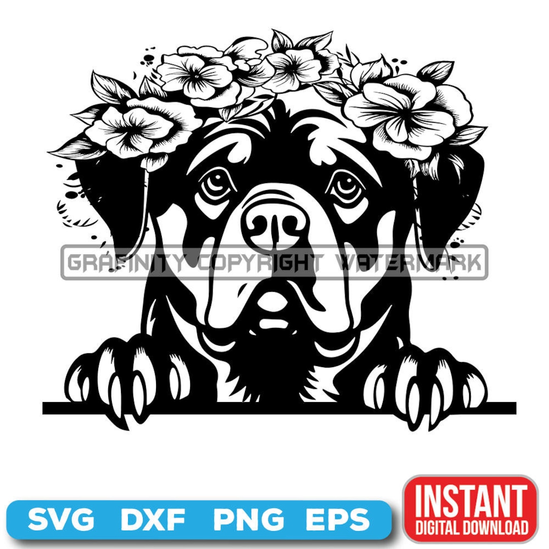Rottweiler SVG Dog SVG Files for Cricut Rottweiler Peeking - Etsy Ireland