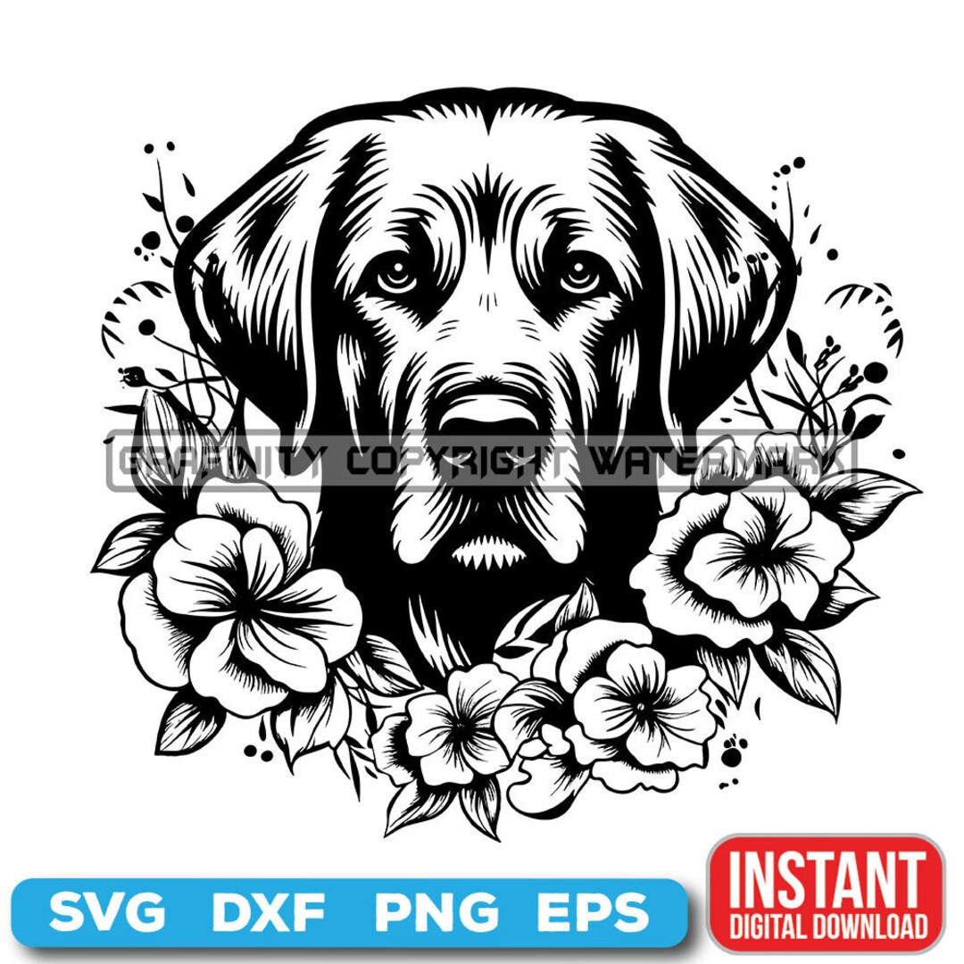 Labrador Dog SVG, Clipart, Labrador Mixed With Florals Vector Art ...