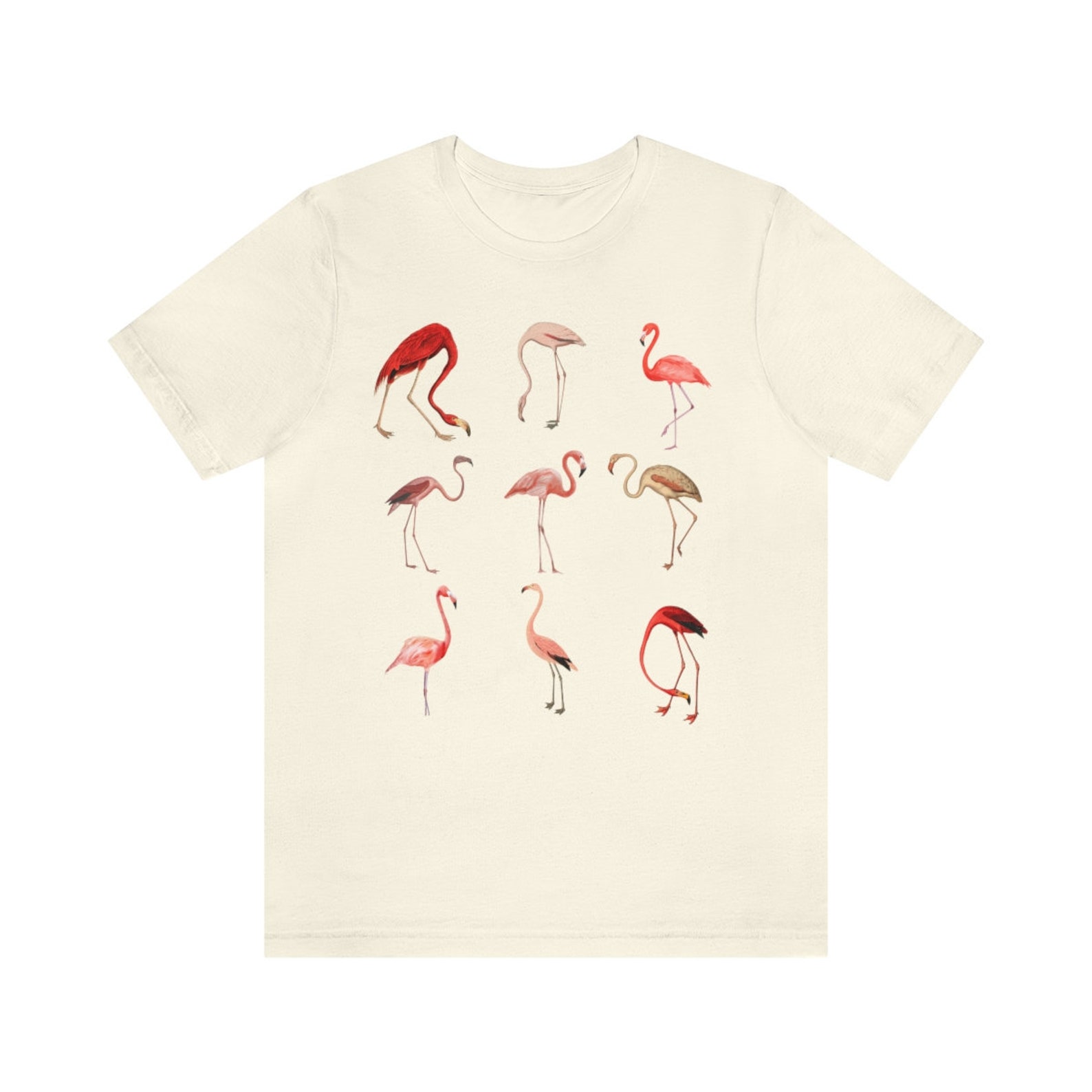 Flamingo T Shirt, Funny Flamingo Tee, Flamingo Gifts, Aesthetic Graphic ...