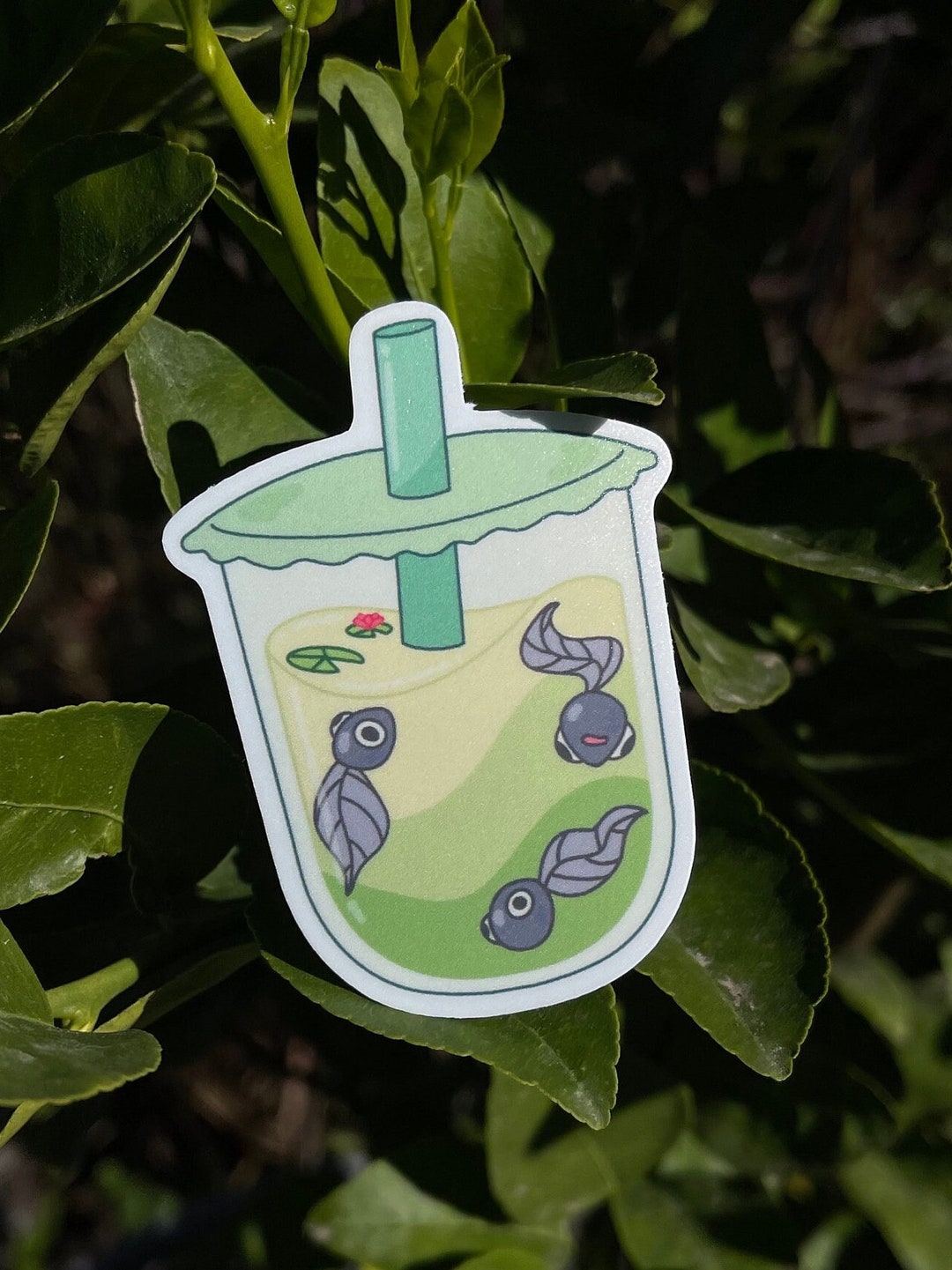 Tadpole Boba Vinyl Sticker - Etsy