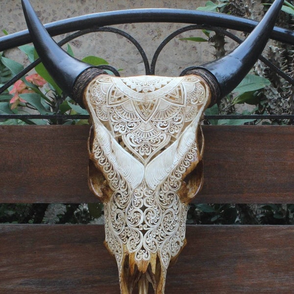 Decorated Cow Skull - Etsy