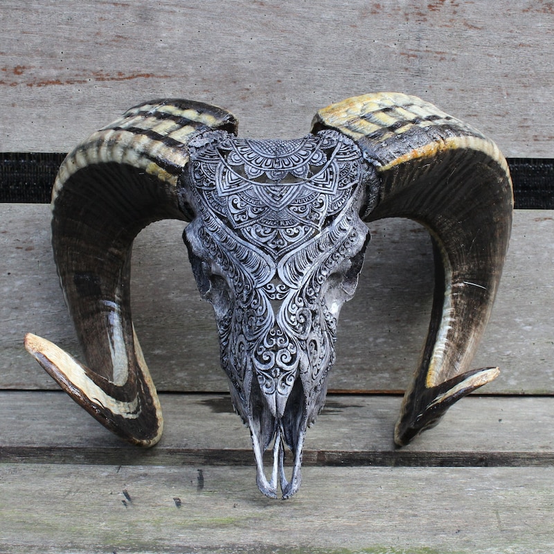 Ram Skull - Etsy