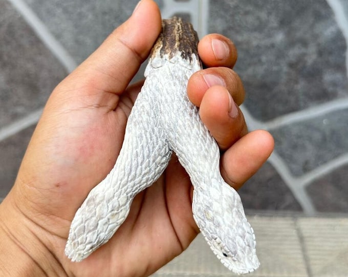Antler Carving - Hand Carved Snake From Deer Antler for Knife Handles ...