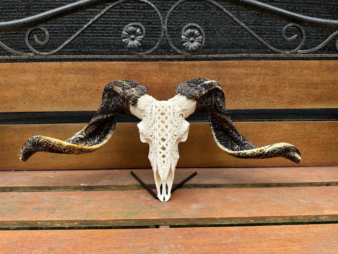 Big Ram Skull Carving With Beautiful Horn - Carved Ram Skull With Horn ...