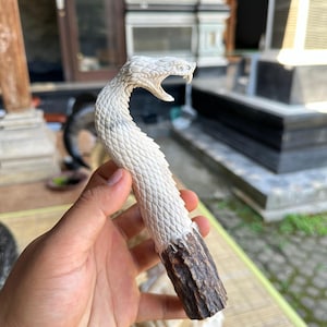 Antler Carving - Carved Deer Antler for Knife Handles. - Etsy